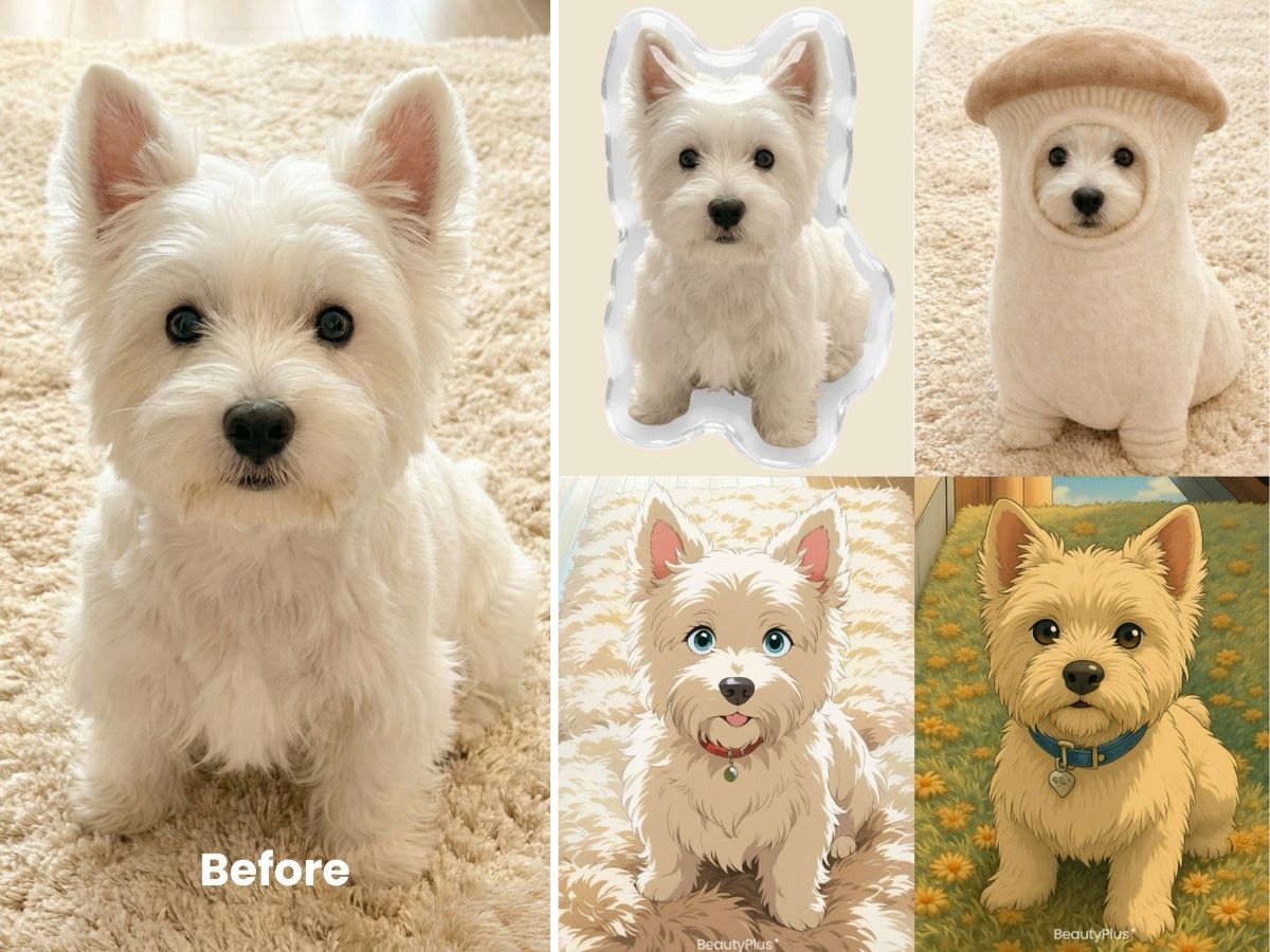 AI Pet Portrait Generator: Turn Cat & Dog Photos into Art